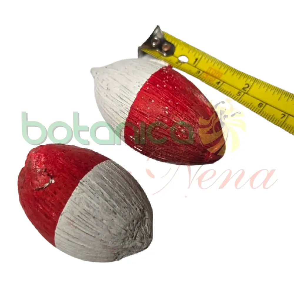 Cocos Mini 2" para Orishaoko pintados (par) Aprox – Botanica Nena