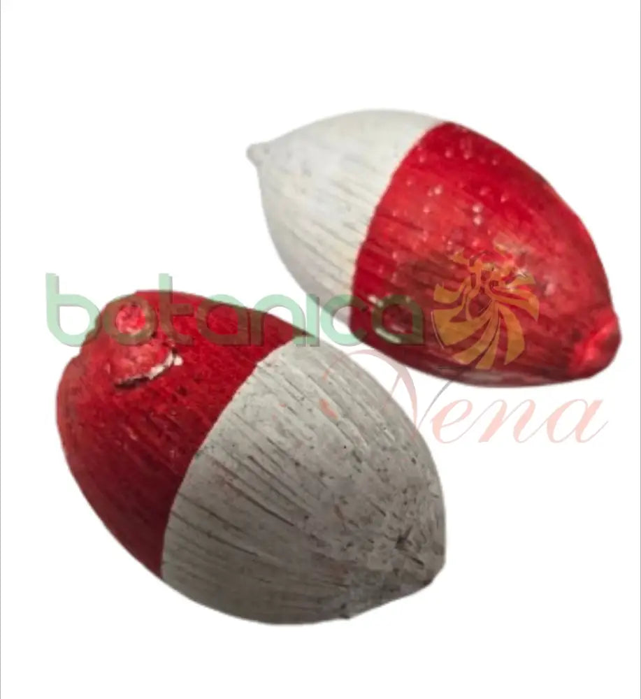 Cocos Mini 2" para Orishaoko pintados (par) Aprox – Botanica Nena