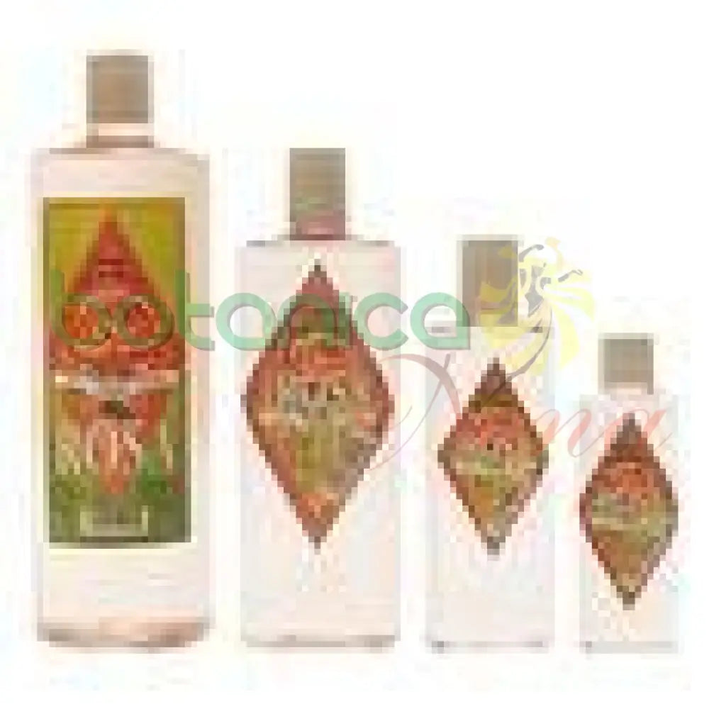 Colonia Rosas 4 tamaños – Botanica Nena