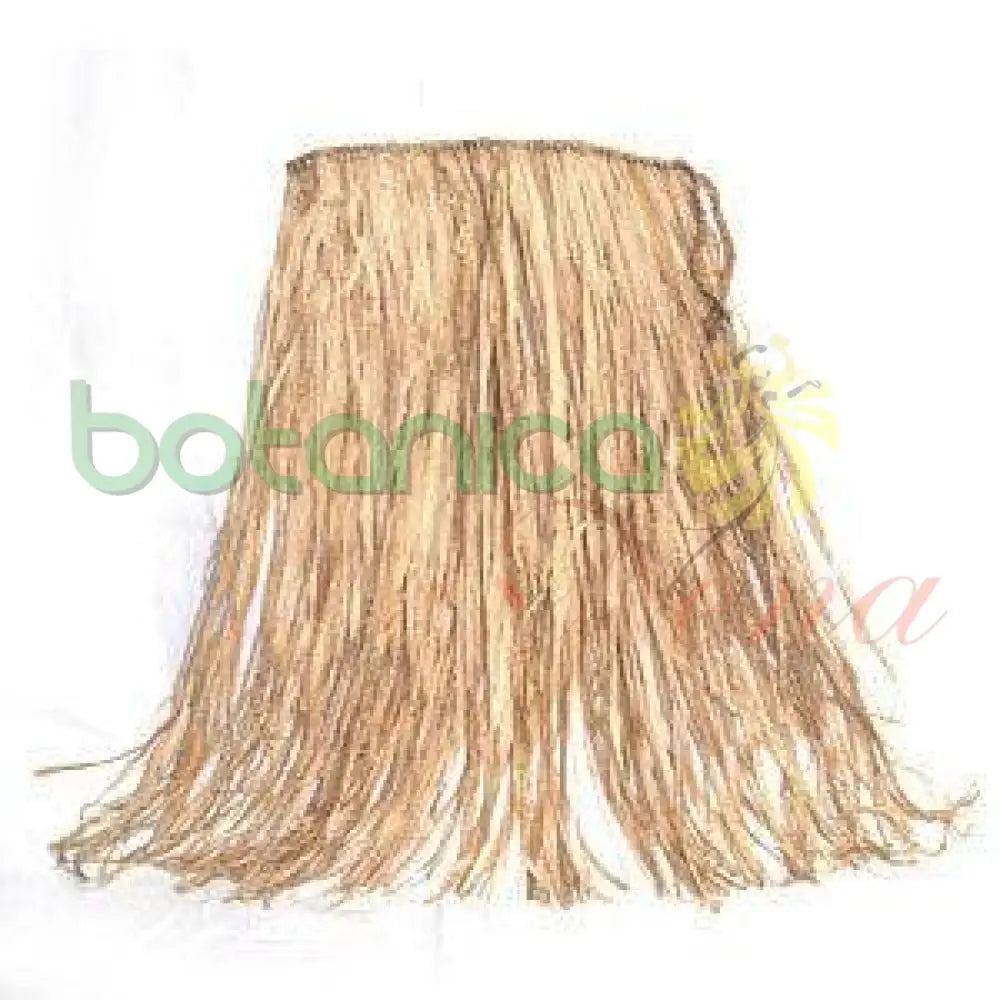 Maribo (Mariwo) de Palma 30"Alto – Botanica Nena