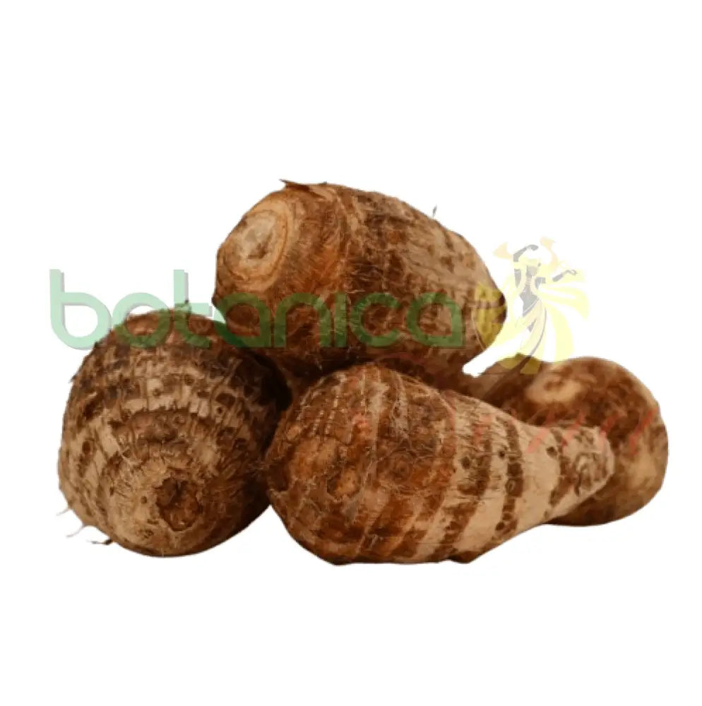 Ñame Tuberculo – Botanica Nena